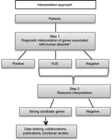 Representation Of Interpretation Approach During Reanalysis Reported