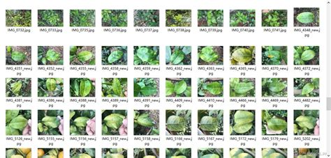 【目标检测数据集汇总】yolo Txt格式各种数据集水面垃圾数据集 Csdn博客