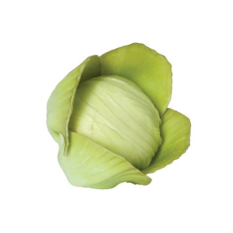 COLIFLOR – Tu marca de Jardín, Cultivo y Decoración