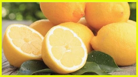 레몬과 라임의 차이점은 Youtube