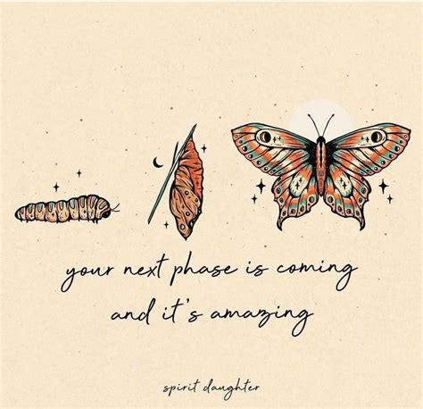 Pin By Taryn Murdey On Butterflies And Transformation 🦋 Butterfly
