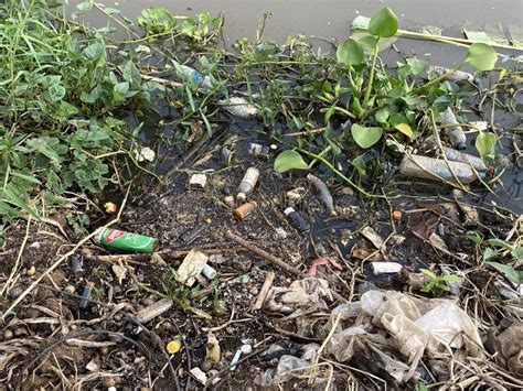 Garbage On The Canal In Country Thailand Stock Image Image Of