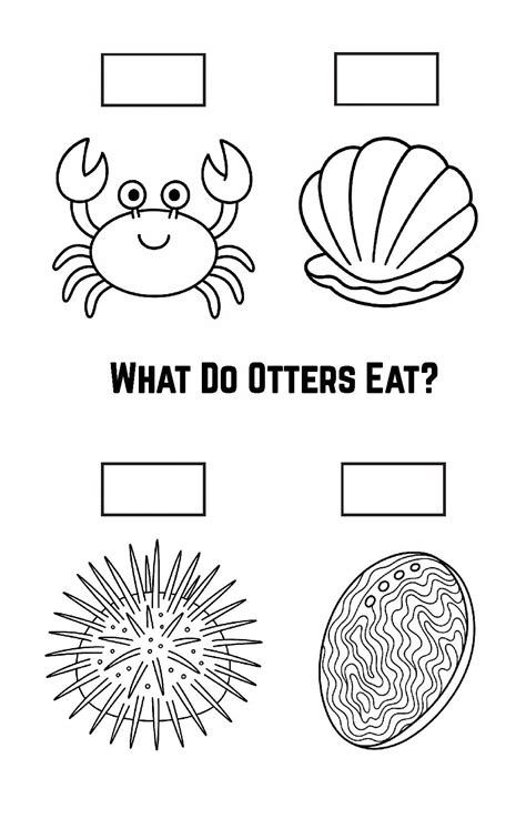 Odder Companion Activity Booklet Pk 2 By The Laughing Library Tpt