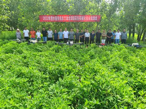 济宁市人民政府 各地快报 泗水县召开农机农艺融合项目花生机械化植保现场会