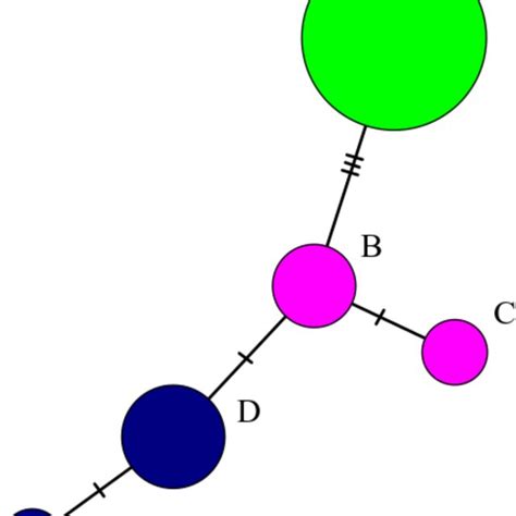 Minimum Spanning Network For Mtdna From Five Geographic Regions Along Download Scientific