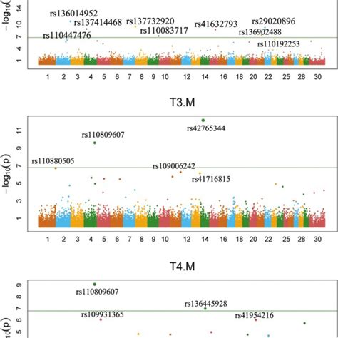 Manhattan Plots Of −log10 P Values For Three Hematological Hormone Download Scientific