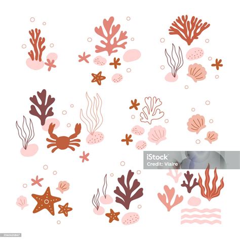 아름 다운 미리 만들어진 작곡 세트 자연 해저 동식물 바다 또는 해양 생물 산호 조류 또는 해초 불가사리 조개가있는 해저 종 평평한 다채로운 벡터 일러스트 레이 션 개체