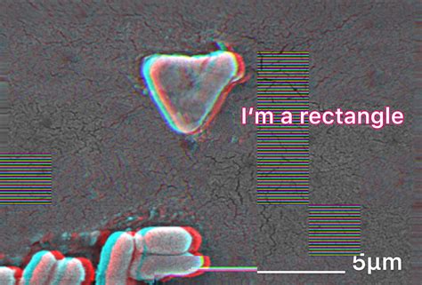 835 Best Microscopic Images On Pholder Interestingasfuck Micro Porn