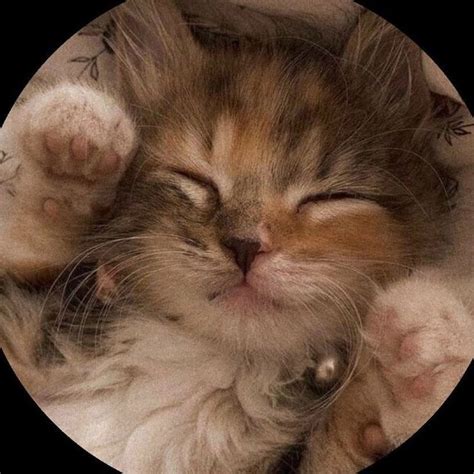 Ehsan M Xy Ehsan • Threads Say More