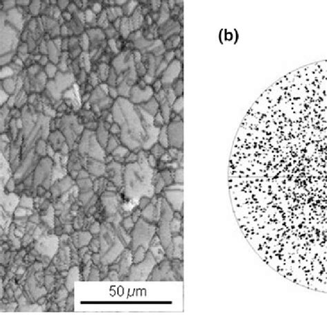 Microstructure And Texture Of The Initial Annealed Copper A