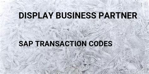 Display Business Partner Tcode In SAP Transaction Codes List