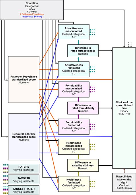 Model Structure Black Arrows From The Condition Variable Represent