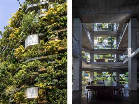 Inside Vo Trong Nghias New Foliage Filled Office Surface