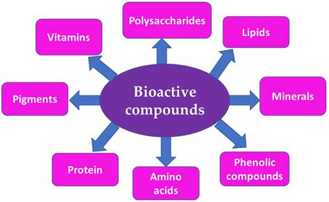 Phytochemical And Potential Properties Of Seaweeds Encyclopedia Mdpi