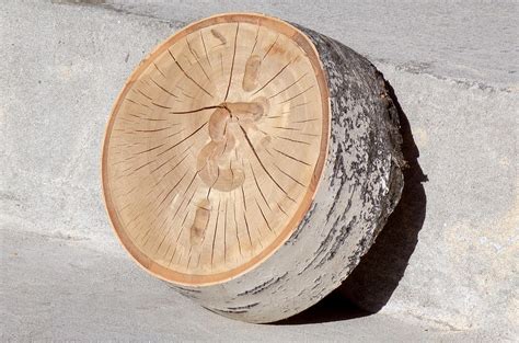 Wood Log Aesthetic Free Photo On Pixabay Pixabay