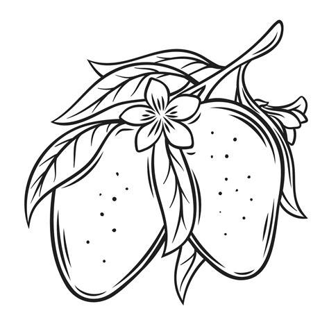 Mango Clipart Black And White