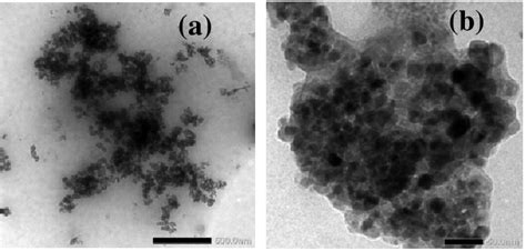 Tem Image Of Tio 2 Nio Nanoparticle Were Used For Photoanode