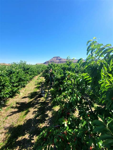 Uproot Colorado On Linkedin Foodwisdom Nutritionsecurity Foodwisdom