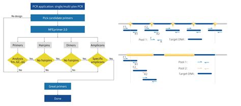 Custom Multiplex Amplicon Sequencing Panels Igenetech