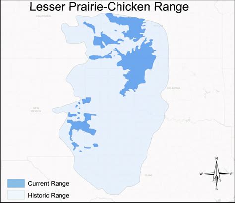 Map Of Current And Historical Occupied Range Of The Lesser Prairie