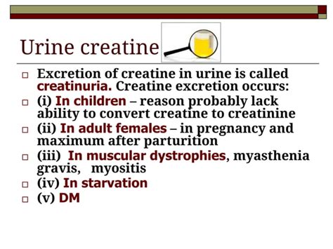 Biochemical Testing Of Renal Function 1pdf