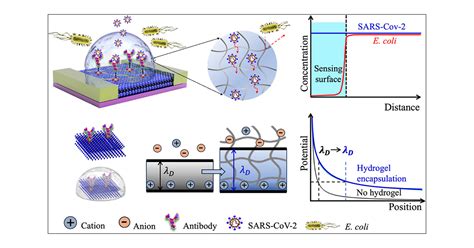 Hydrogel Gated Mxene Graphene Field Effect Transistor For Selective Detection And Screening Of