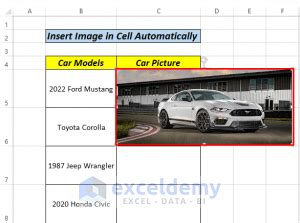 How To Insert Picture In Excel Cell Automatically ExcelDemy