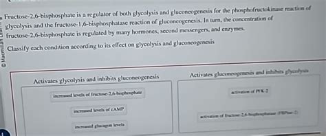 Solved Fructose 2 6 Bisphosphate Is A Regulator Of Both