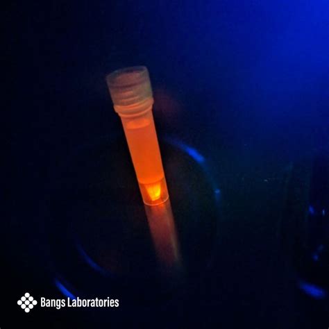 Bangs Laboratories Inc On Linkedin Europium Lanthanide Bangslabs