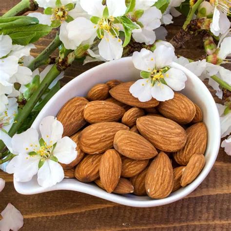 Shop Medicinal Foods Natural Health Products Official Site