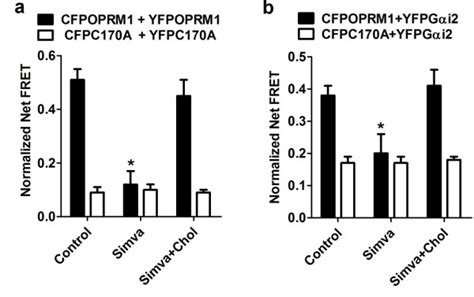 Reducing Cellular Cholesterol Affects Homodimerization And G Protein Download Scientific