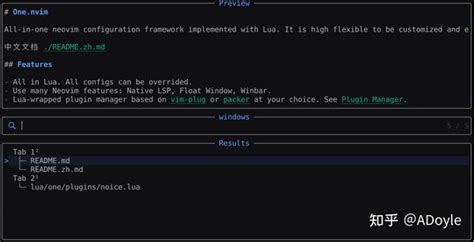 我的 Neovim 配置框架one nvim 知乎