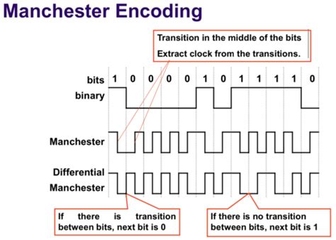 Networking Principles Flashcards Quizlet