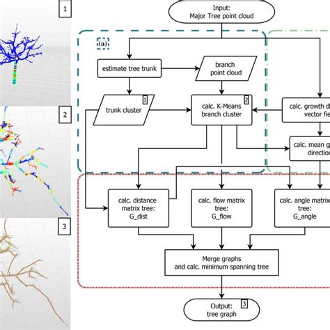 Flow Chart Of The Algorithm To Create The Skeleton Tree Model A Shows Download Scientific