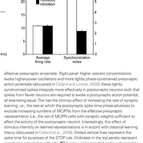 Precedence Coding In A Model Of Vertebrate Olfactory Bulbinsect Download Scientific Diagram