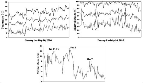daily maximum minimum and mean temperatures a relative humidity