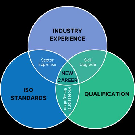 Lts 39 Experience To Iso Qualification Pathway Model The Auditor