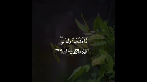 يا أيها الذين آمنوا اتقوا الله ولتنظر نفس ما قدمت لغد واتقوا الله سورة الحشر القارئ عبدالله