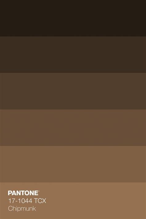 Pantone 17 1044 Tcx Chipmunk Color Shades Shades Of Brown Pantone