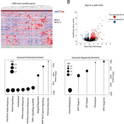 Transcriptional Changes In The Bone Marrow Of AML And MDS Patients Download Scientific Diagram