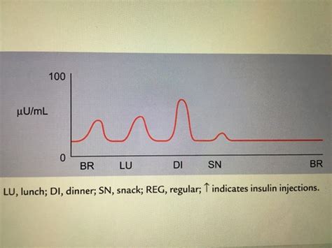 Insulin Diabetes Flashcards Quizlet