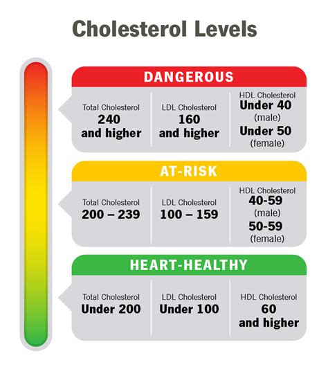 Hdl Vs Ldl Chart