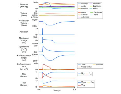 Multiscale Simulation Of A Heart Beat At Steady State The Figure