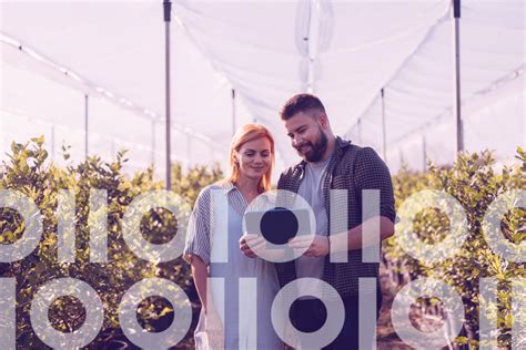 Customer Communications Insights Shaping With Ai