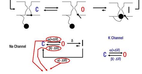 Voltage Album On Imgur