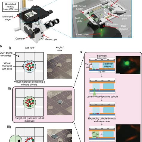 Pdf Digital Microfluidic Isolation Of Single Cells For Omics