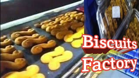 Biscuits Factory Process How Biscuits Are Made In Factory বিস্কু