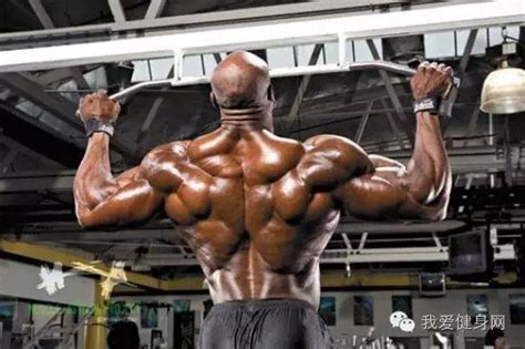 引体向上水很深,能玩到这种程度你就是大神!力臂身体常规 引体向上水很深,能玩到这种程度你就是大神!力臂身体常规