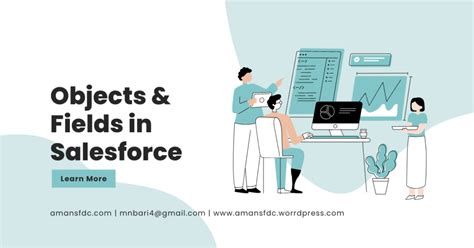 Knowledge Of Objects And Fields In Salesforce Sf Learners Hub