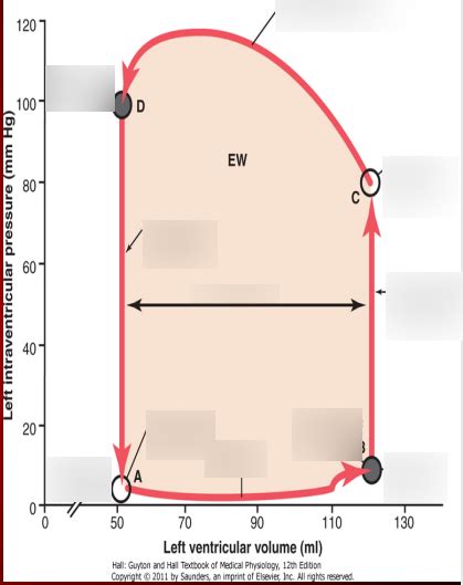 Cardiac 6 Valvular Heart Diseases And Pressure Volume Loops Diagram